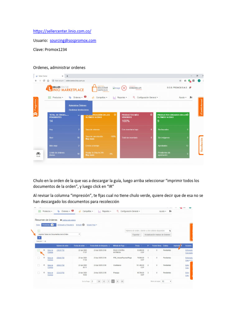 INSTRUCTIVO LINIO Descargar o Imprimir Guías | PDF