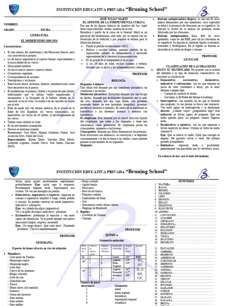 Memorizable 3 | PDF | Membrana celular | Retículo endoplásmico