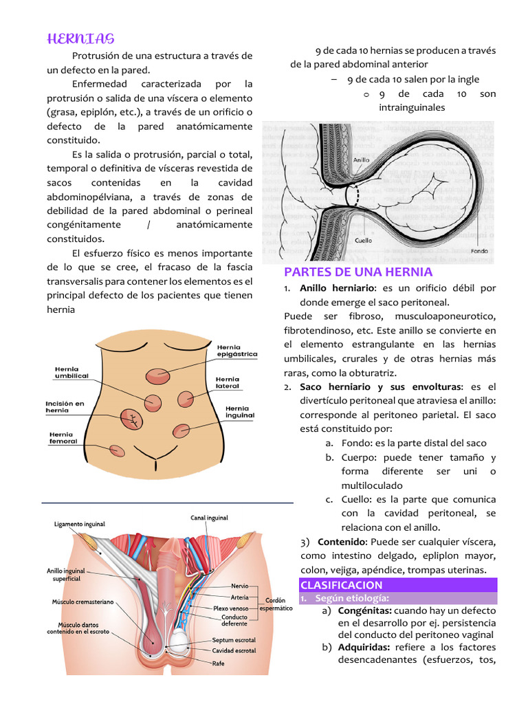 5 Hernias | Descargar gratis PDF | Abdomen | Anatomía