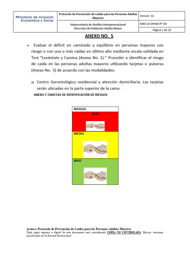 FICHA Instructivo, Anexo 1 y 5 | PDF