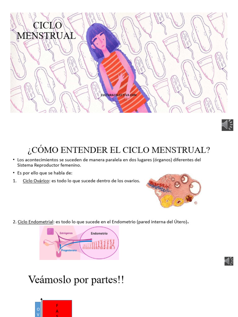 Ciclo Menstrual | PDF | Ovario | Ciclo menstrual
