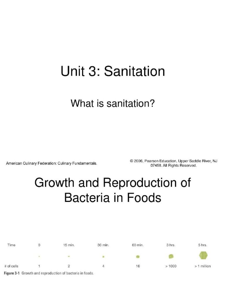 Sanitation | PDF