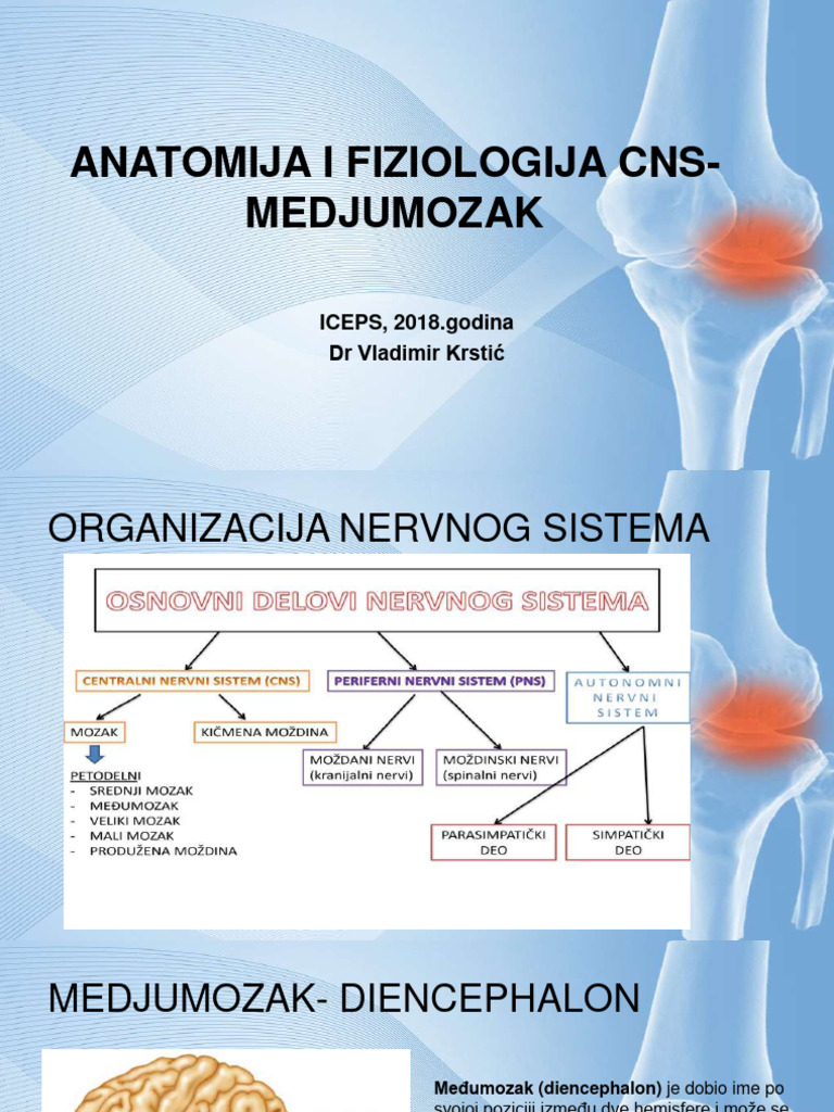 Anatomija I Fiziologija CNS Medjumozak | PDF