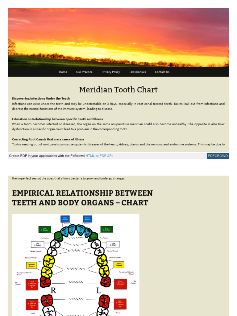 Meridian Tooth Chart | Download Free PDF | Dentistry | Bile