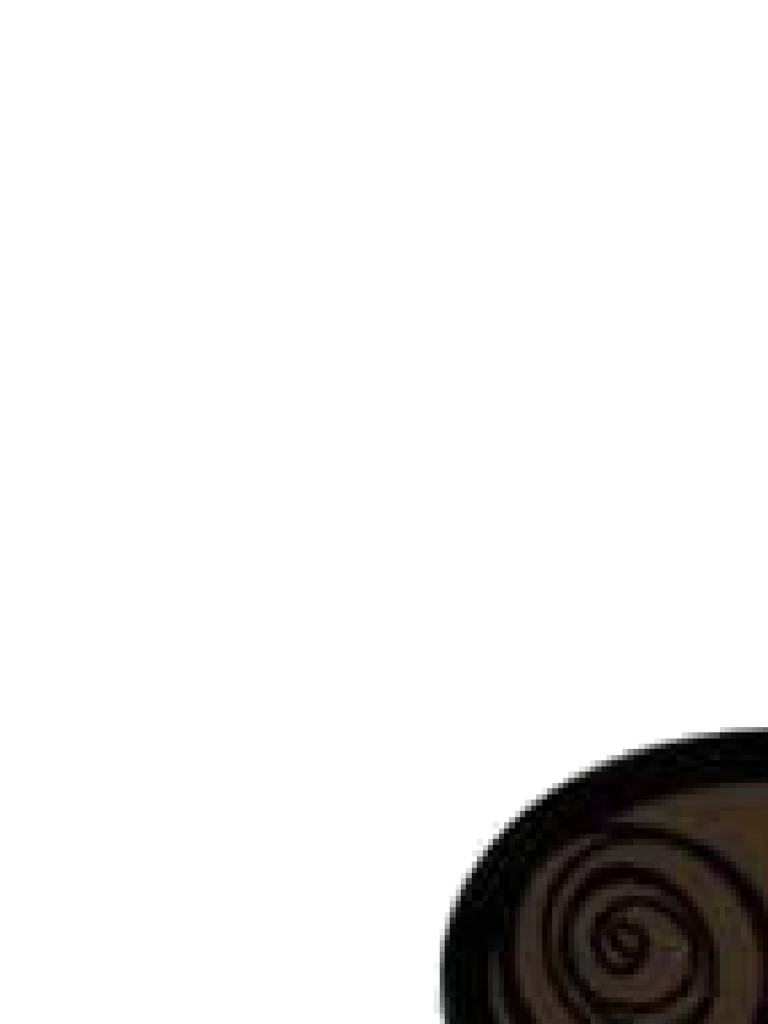 TRAJE CUBANO IMPRIMIR | PDF