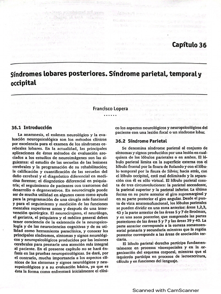 Capítulo de Síndromes Lobulares | PDF
