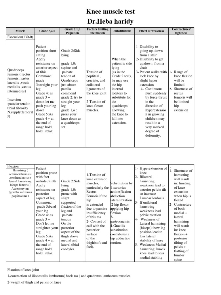 Knee Muscle Testing Protocol Guide | PDF | Human Leg | Knee