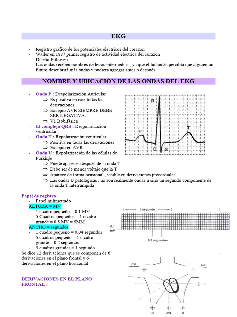 EKG: Ondas, Derivaciones y Cálculo FC | PDF | Electrocardiografia ...