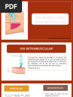 Guia Detallada de Sitios de Puncion para Inyecciones IM SC e IV | PDF ...
