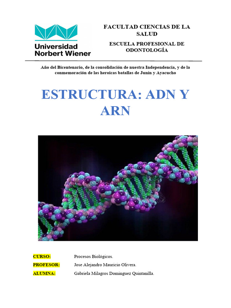 Adn y Arn | PDF | Ácidos nucleicos | Adn