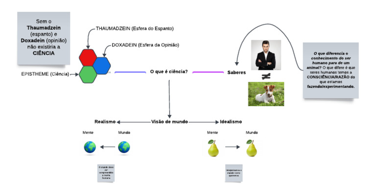A1 - Mapa Mental - Ciência | PDF