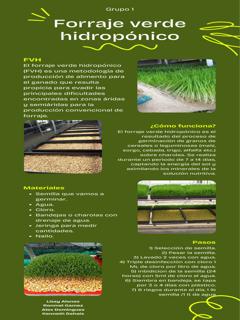 Infografía FVH - Grupo 1 | PDF