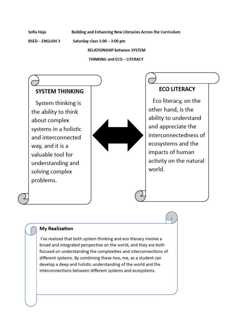 System Thinking | PDF