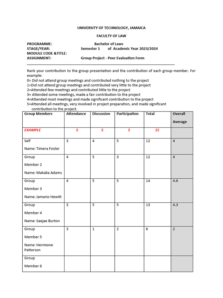 Peer Assessment Template | PDF | Academia