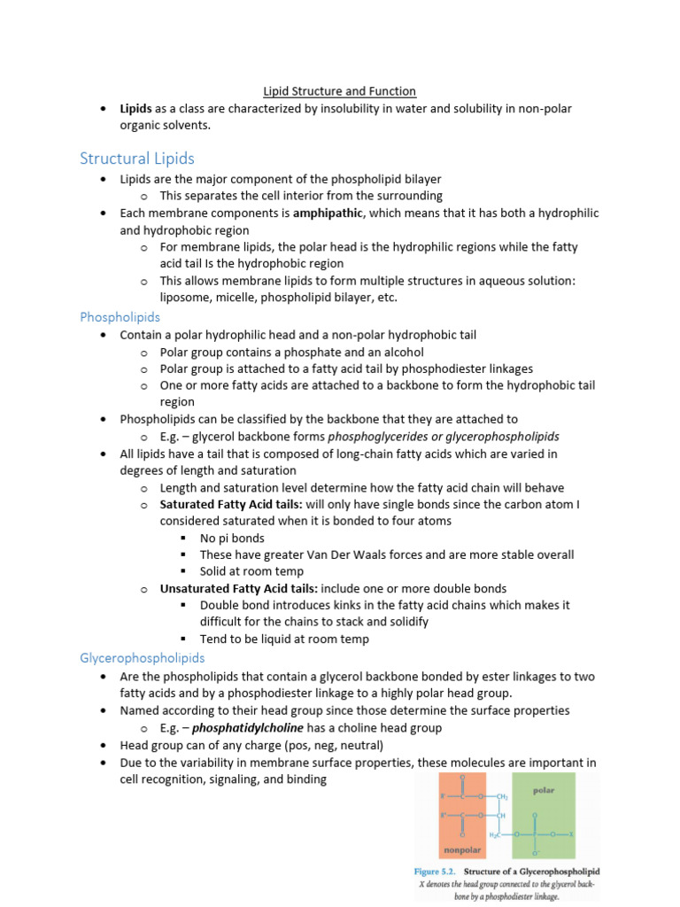 Biochemistry Ch. 4.1 Lipid Structure and Function | PDF | Lipid | Fatty ...