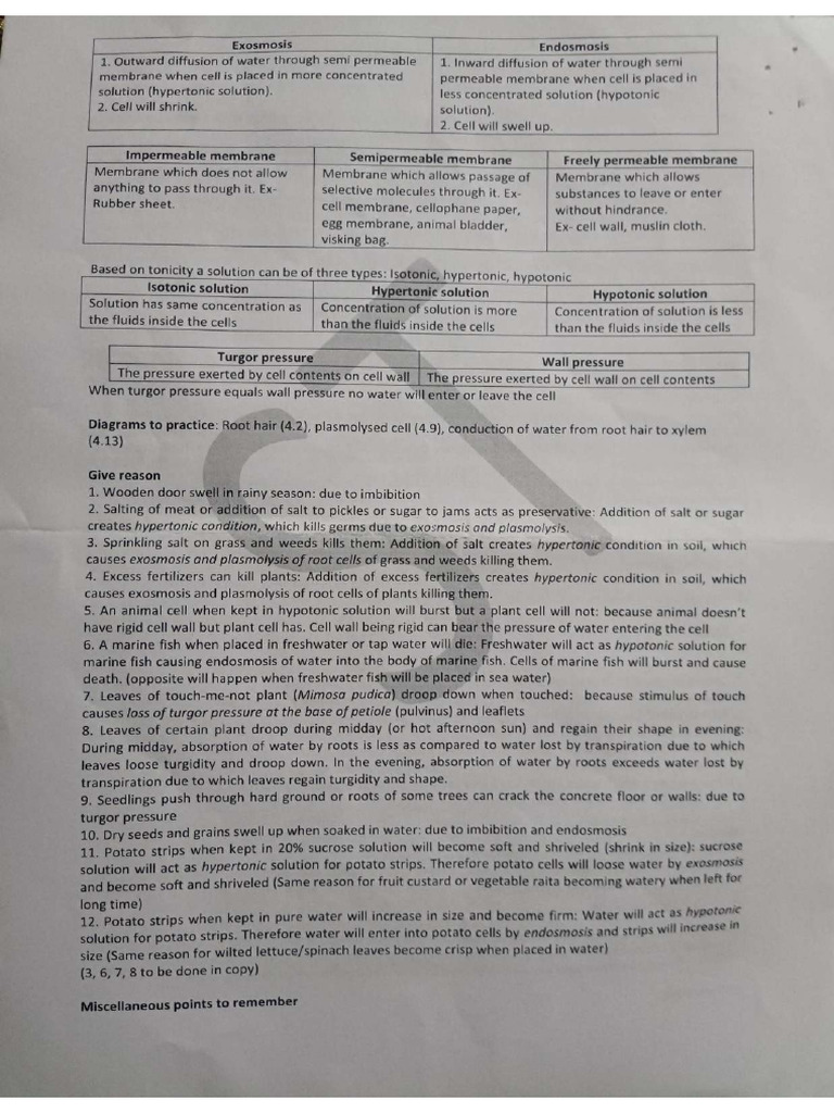 Img 20240503 Wa0008 | PDF