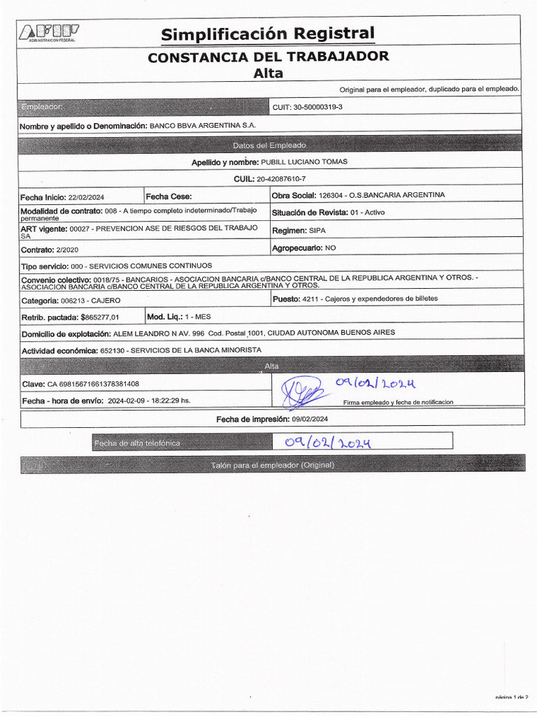 Constancia de ALTA AFIP | PDF