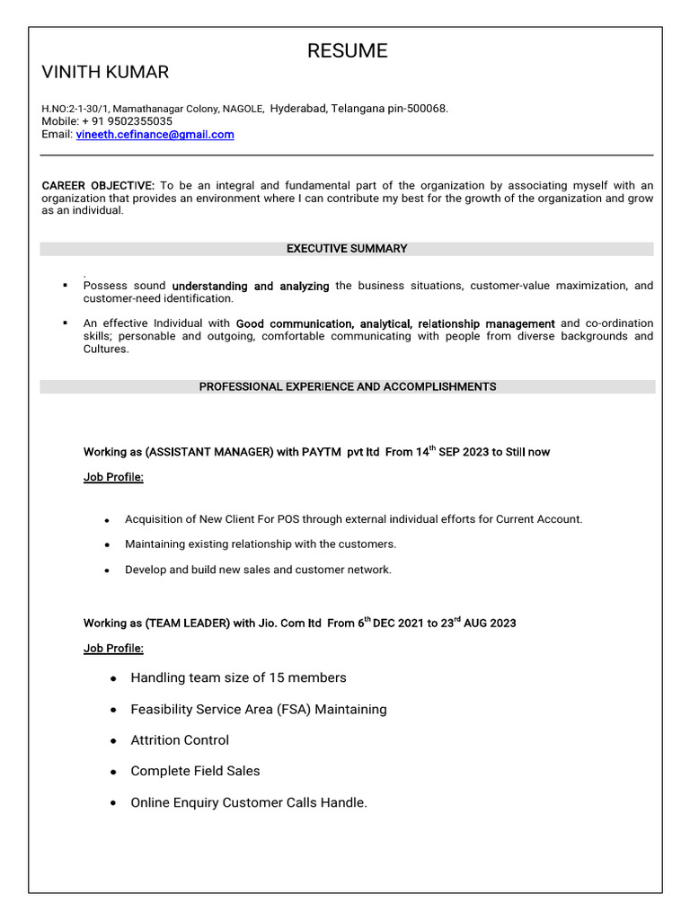 Vinith K CV | PDF | Business