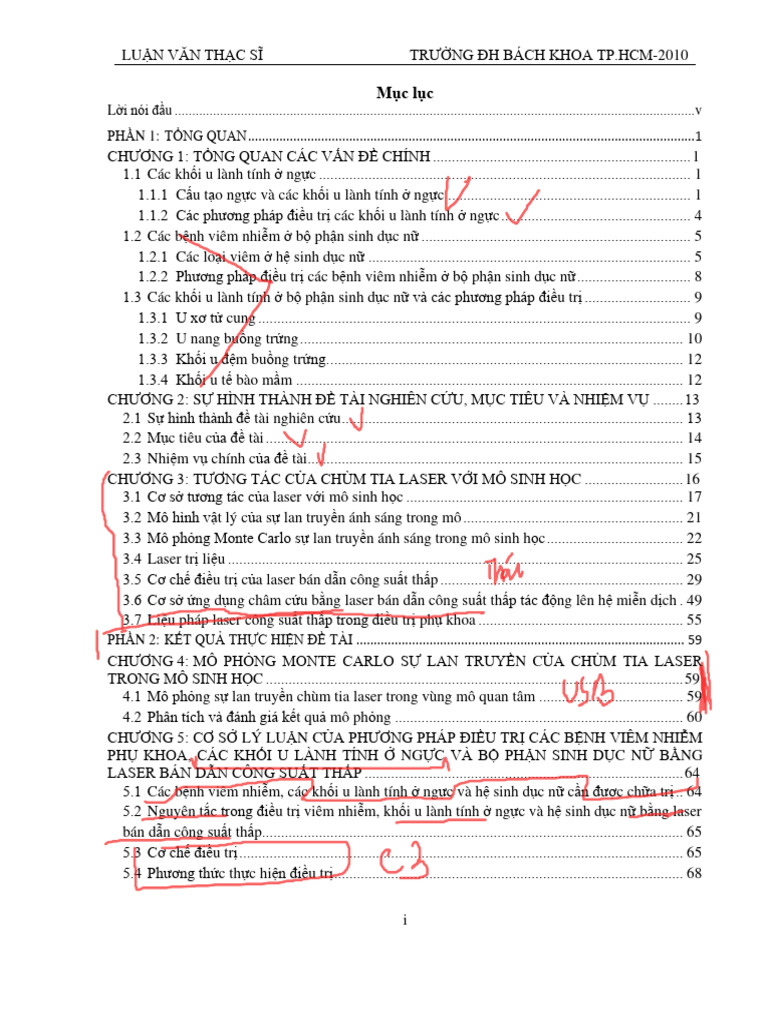 Luan Van Phuong Anh | PDF