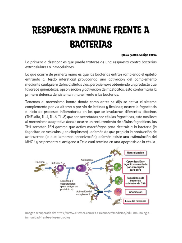 RESPUESTA INMUNE FRENTE A BACTERIAS | PDF