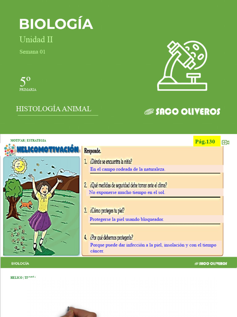 B5 U2 T1 Histología Animal | PDF | Tejido (biología) | Hueso