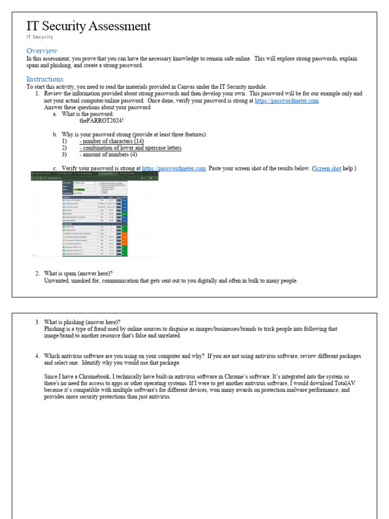Security-Assessment 2 | PDF | Password | Security