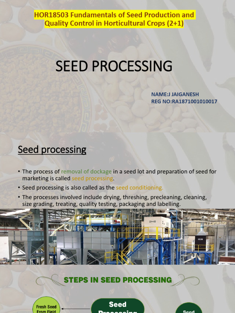 Seed Production | PDF | Seed | Clothes Dryer