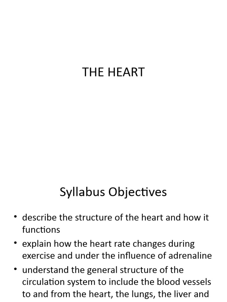 The Heart | PDF
