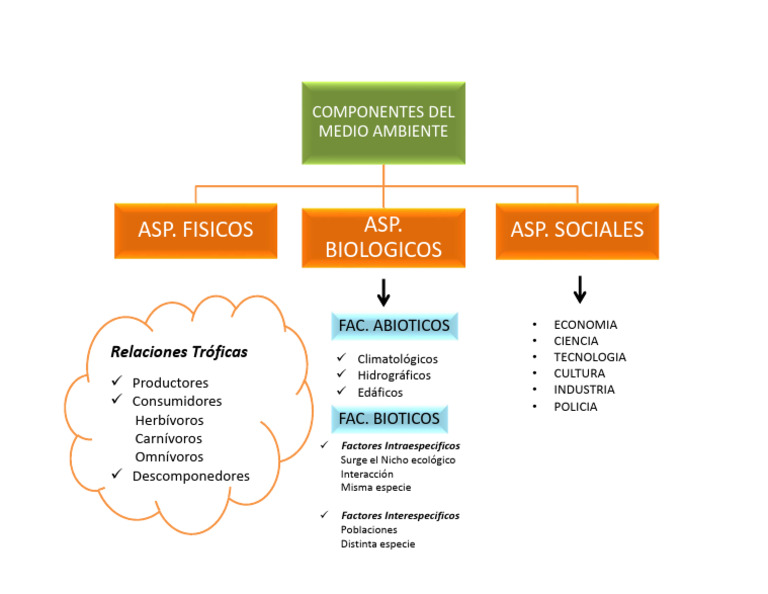 Componentes del Medio Ambiente: Físicos, Biológicos y Sociales | PDF