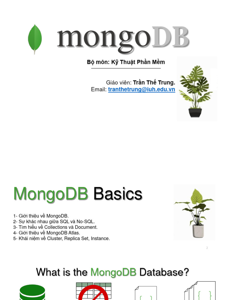 1 - MongoDB Basics | PDF