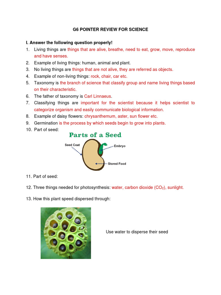 2q g6 Review For Science | PDF | Wellness | Science & Mathematics