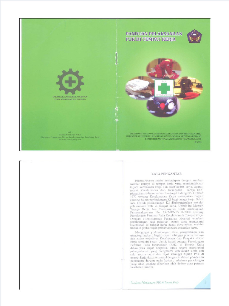 Buku Panduan p3k | PDF