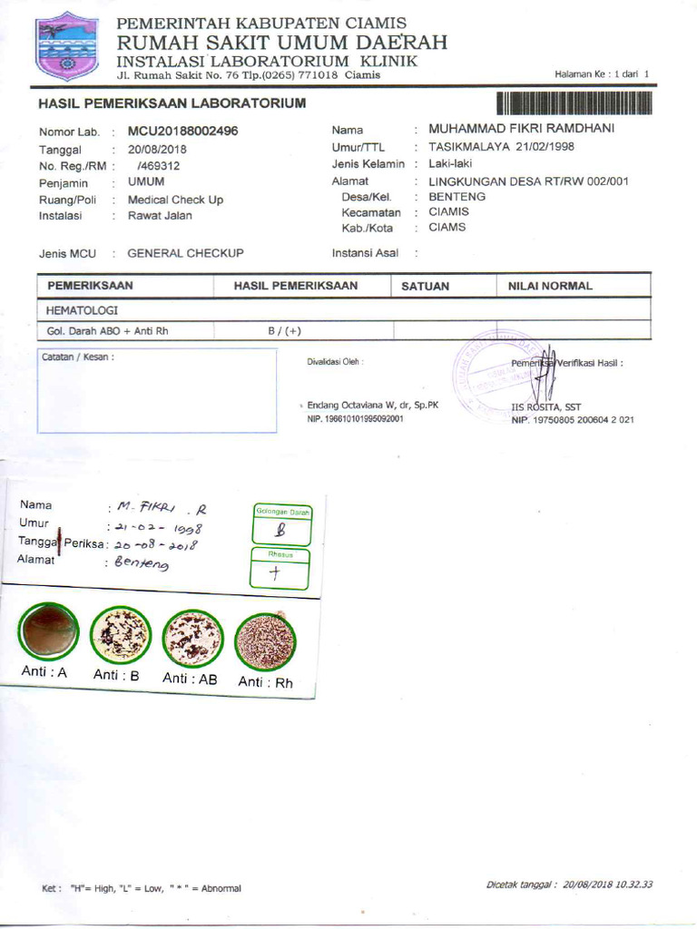 Golongan Darah | PDF