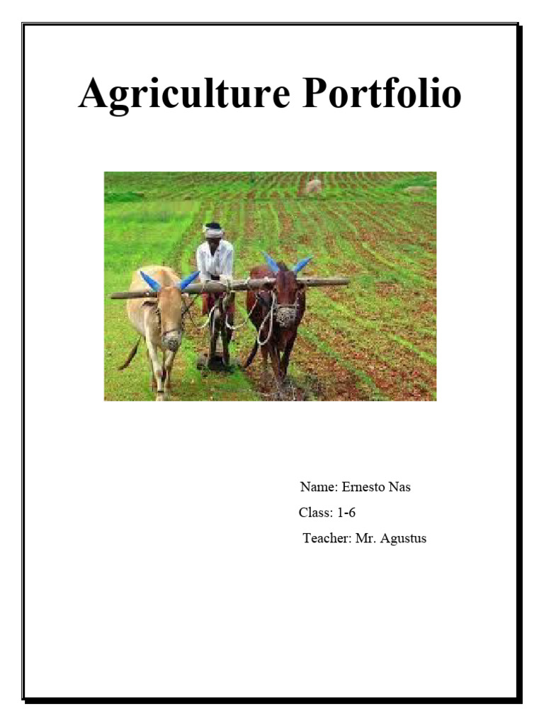 Agriculture Porfolios Cover Page | PDF | Social Science