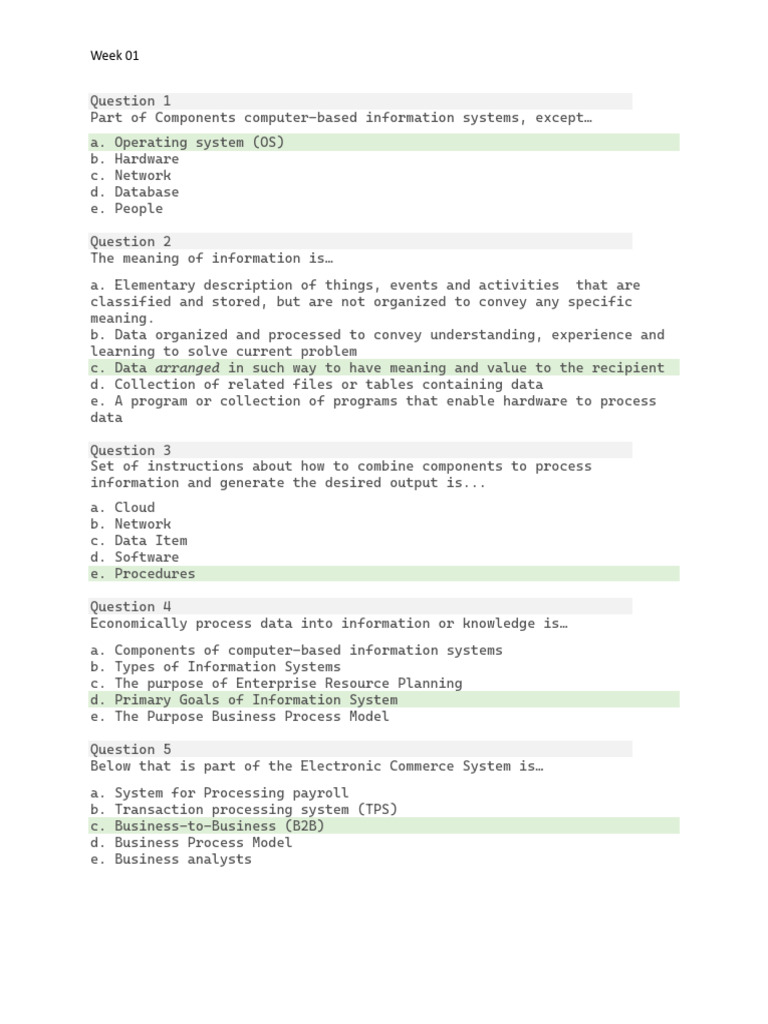 Information SYSTEM | PDF | Business | Information Technology