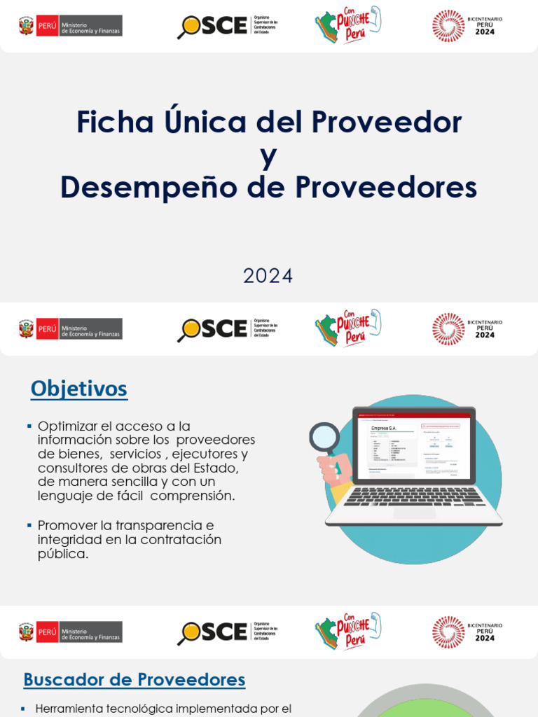 Ficha Única Del Proveedor y Desempeño de Proveedores | PDF