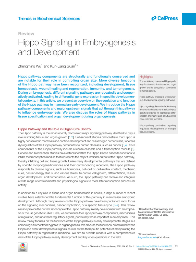 Hippo Signaling in Embryogenesis and Development | PDF | Cell Potency ...