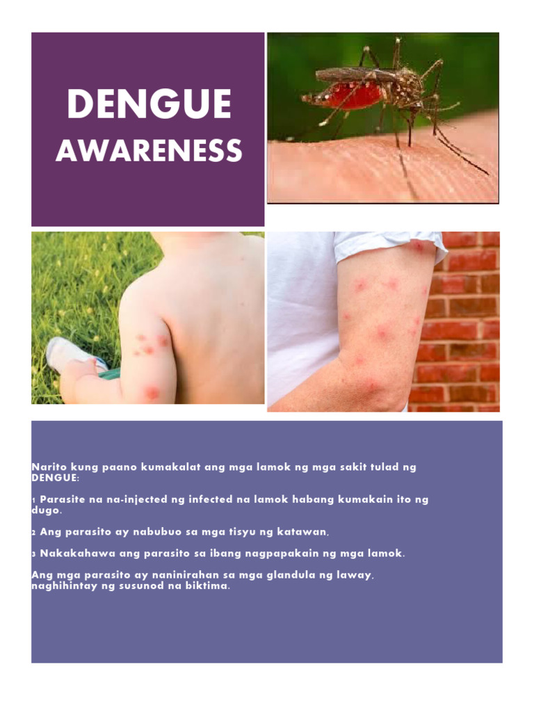 DENGUE Information Campaign | PDF