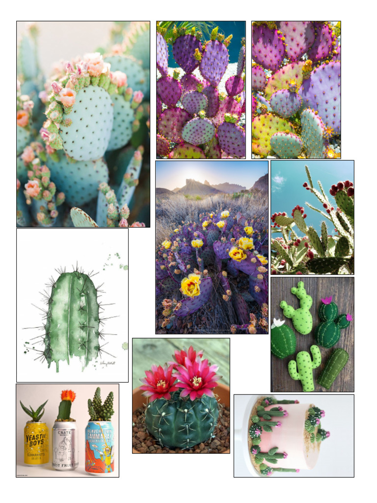 cactus | PDF