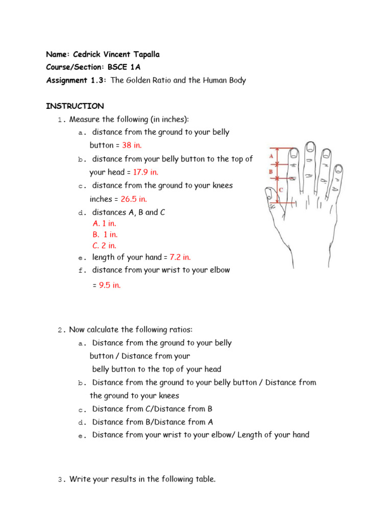The Golden Ratio and the Human Body | PDF