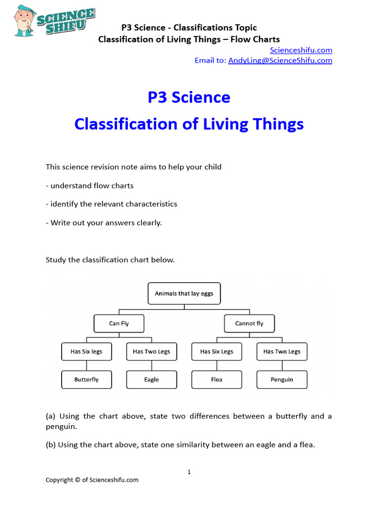P3 Science Revision Notes - P3 Classification Topic - Identify The ...