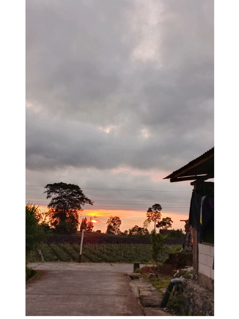 PDFGallery 20240504 132954 | PDF