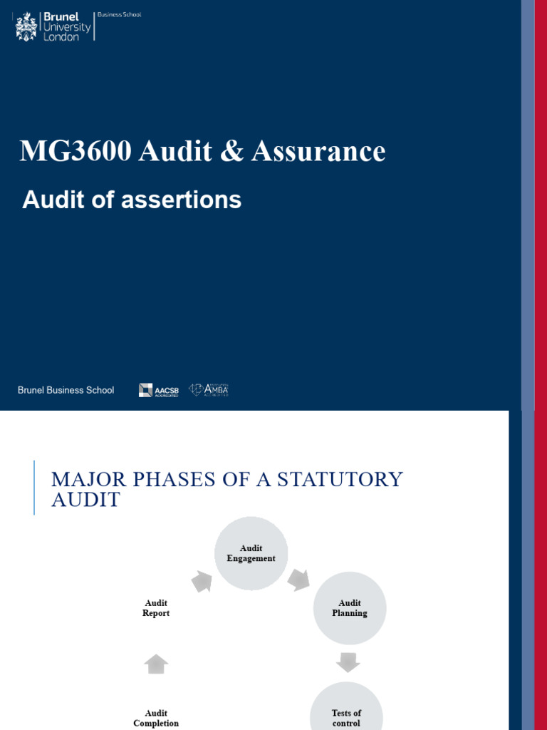 Lecture Slides - Audit Assertions Testing | PDF | Audit | Financial Audit Lecture Slides - Audit Assertions Testing | PDF | Audit | Financial Audit