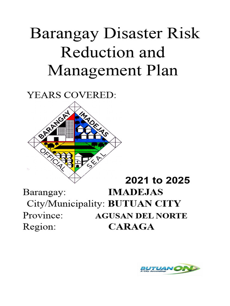 BDRRM Plan 2021 2025 PDF Free | PDF | Disaster Risk Reduction | Hazards