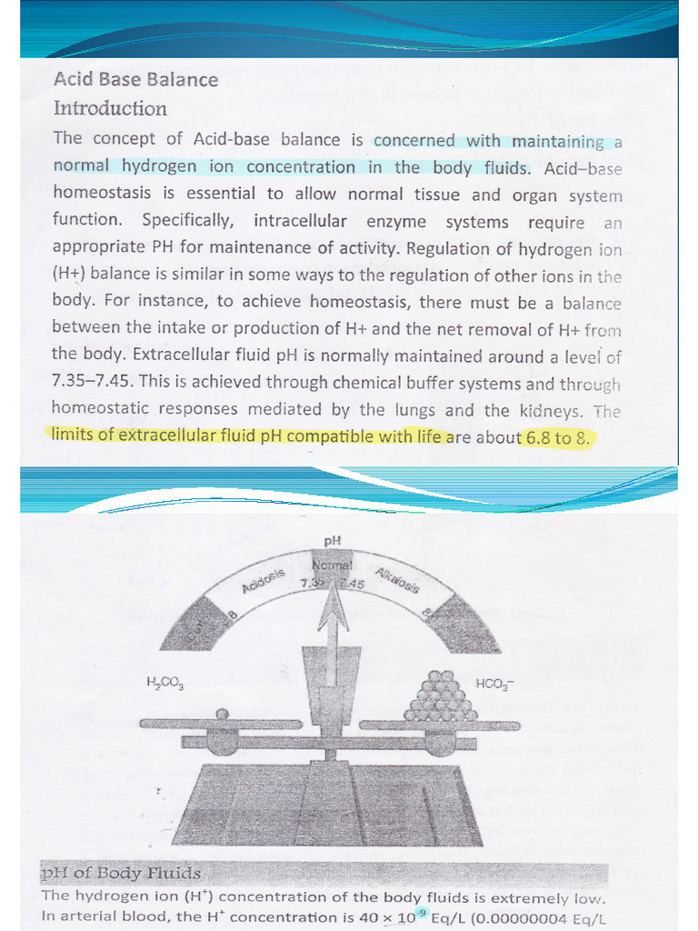 Urinary System 4 Acid Base Balance | PDF