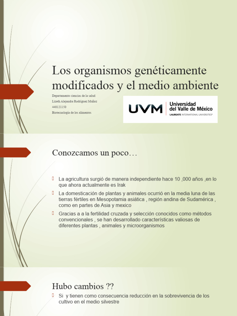 Impacto del café transgénico en el medio ambiente | PDF | Organismo genéticamente modificado ...