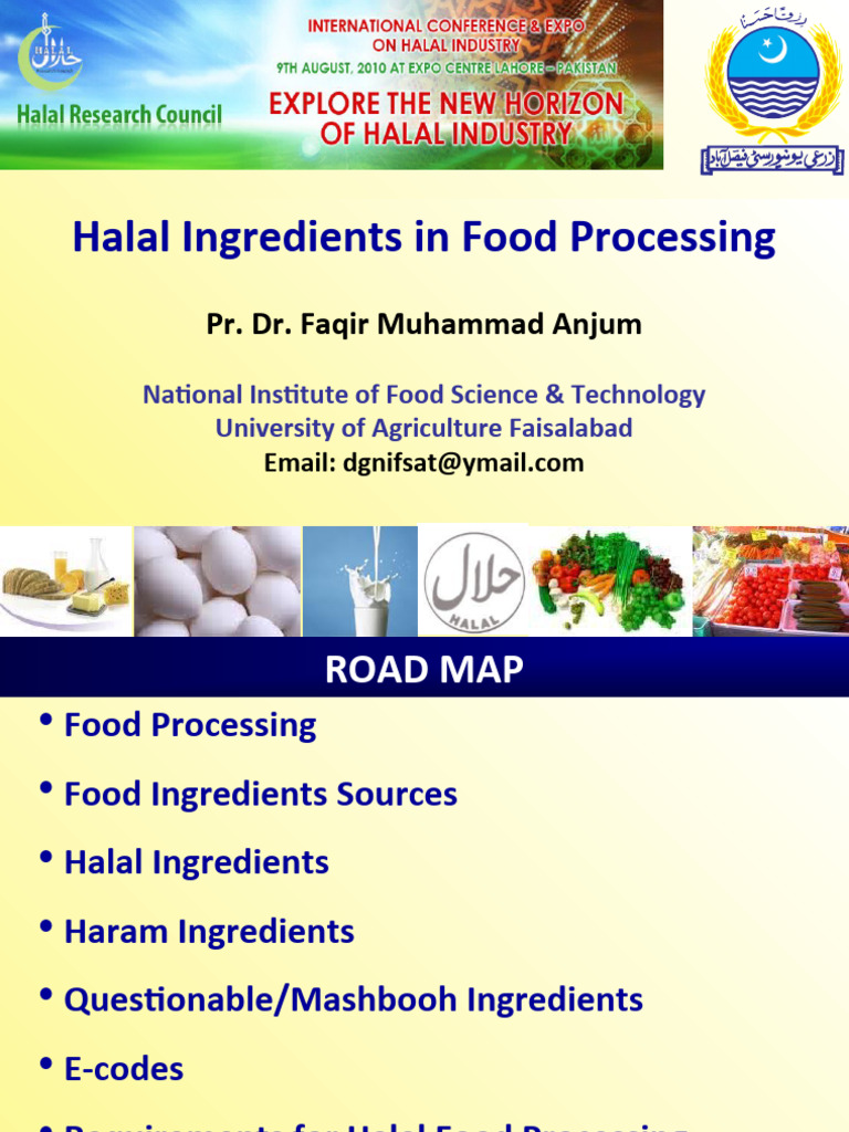 Halal Food Processing Guide | PDF | Foods | Food Processing