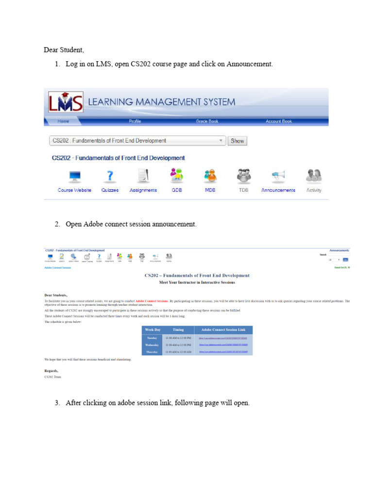 Adobe Connect Session Guidelines | PDF