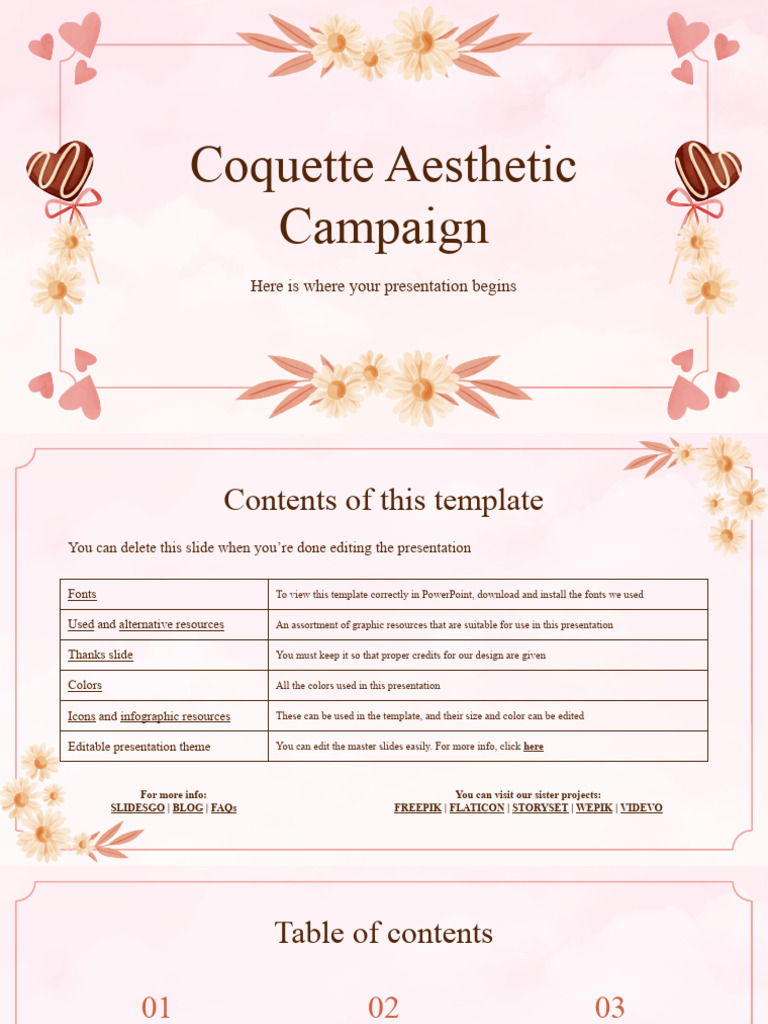 Coquette Aesthetic Campaign by Slidesgo | PDF | Brand | Target Audience