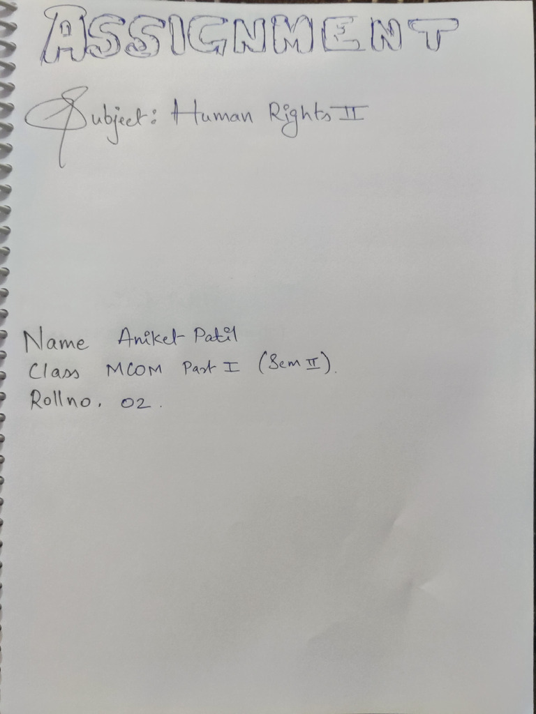 Human Rights Assignment | PDF